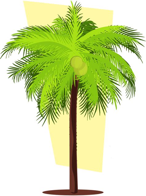 Coconut Tree 36654723 Vector Art At Vecteezy
