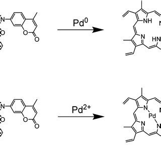 Proposed detection strategy for Pd⁰ and Pd² Download Scientific Diagram