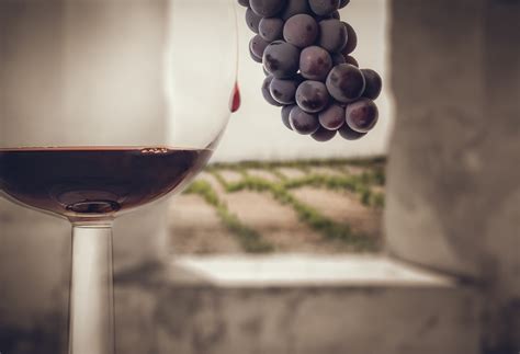 La Do La Mancha Entrega Sus Premios ‘vino Y Cultura Punto álgido De