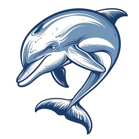 Premium Vector Dolphin Vector Cute