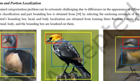 Examples Of Bird Detection And Part Localization Red Rectangle For