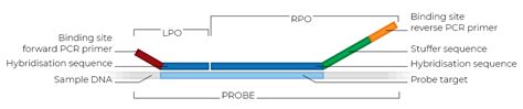Mlpa Technique Mrc Holland