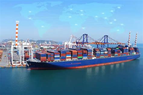 የኤምኤስሲ ኮንቴይነር መከታተያ ስርዓት፡ የመጨረሻ መመሪያ ሆንጎሴን