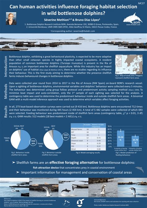 Pdf Can Human Activities Influence Foraging Habitat Selection In Wild