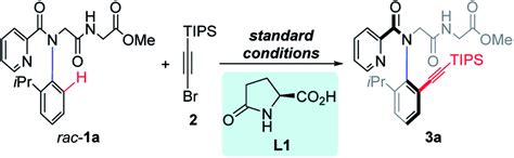 Atroposelective Synthesis Of N Aryl Peptoid Atropisomers Via A