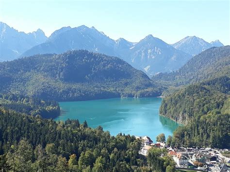 Alpsee 바이에른 Alpsee의 리뷰 트립어드바이저