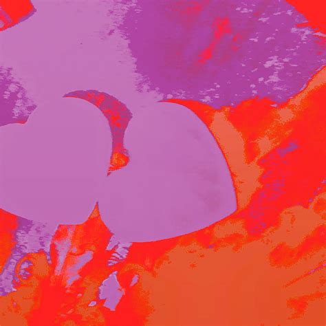 Purple Hearts Photograph By Kelli Cole Fine Art America