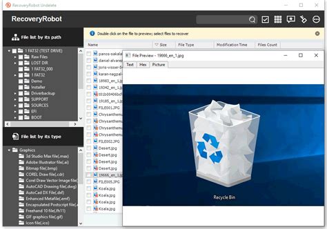 How To Recover Files Deleted From Recycle Bin Free Plantforce21