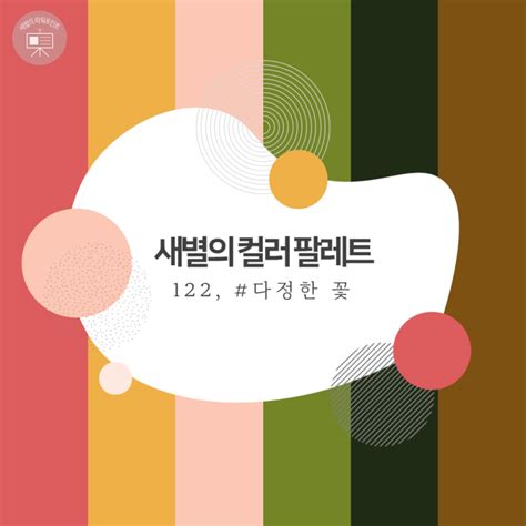 Ppt 색조합 추천 새별 컬러 팔레트 122 다정한 꽃 무료 Ppt 템플릿 새별의 파워포인트 네이버 블로그