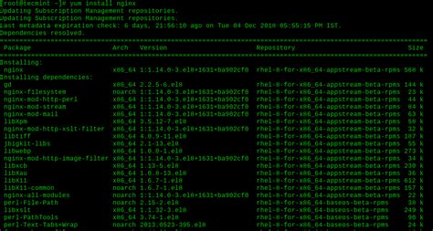 Как установить Lemp на Rhel 8 — пошаговое руководство