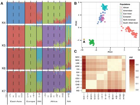 Comparative Population Based Genetic Analysis Of The Amerindian With Download Scientific