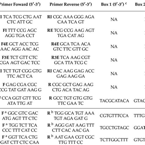 Loci Amplicon Length And Primers Used For Pcr Download Scientific Diagram