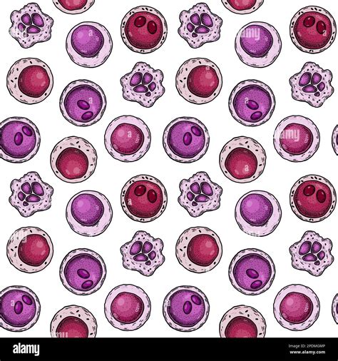 Stem Cell Seamless Pattern Hand Drawn Vector Illustration In Sketch Style Medical Science