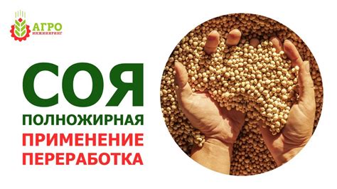 Соя полножирная, применение в животноводстве. Особенности переработки ...