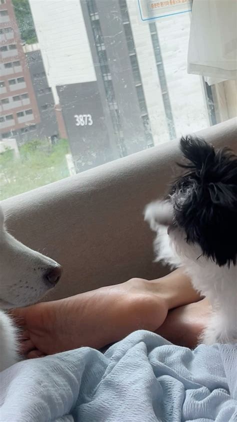 뽀짱 Zzan Po • Instagram Photos And Videos