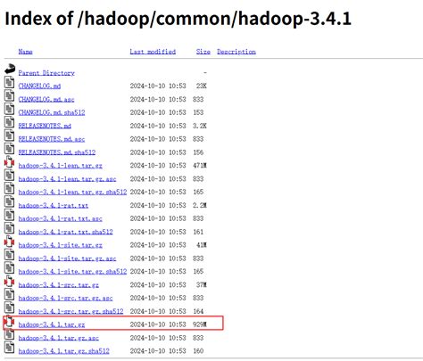 Linux环境下hadoop341（最新版本）单机部署apache Hadoop 341 Standalone安装 Csdn博客