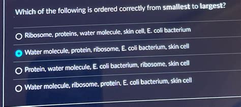 Solved Which Of The Following Is Ordered Correctly From Chegg