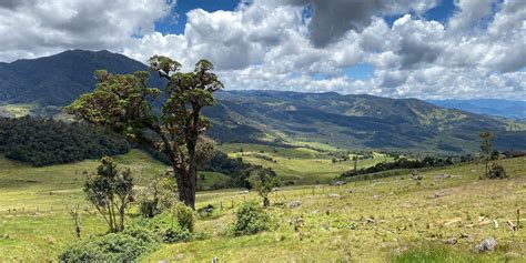 Ecuador Nature And Culture International