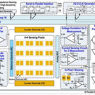 Chip Architecture Of The Joint Electrochemical And Impedance Sensor Download Scientific Diagram