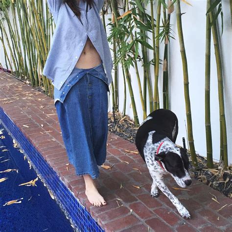 Liz Gillies Celebs