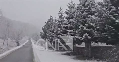 Video Dardha E Mbuluar Nga Bora Qarkullimi I Mjeteve Pa Probleme
