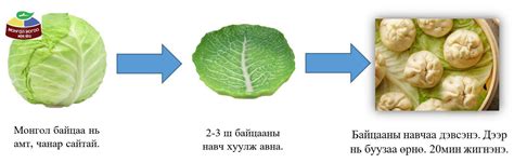 БУУЗ БАЙЦАА ХОЁР Монгол Ногоо төсөл Mon Vegi Project Facebook