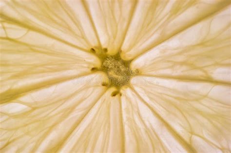Lemon Cross Section Structure Pattern Background Color Veg Stock