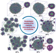 A Dissipative Particle Dynamics Simulation Of Controlled Loading And Responsive Release Of