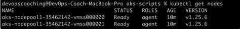 Devsecops And Cloud Computing Coaching How To Deploy Springboot