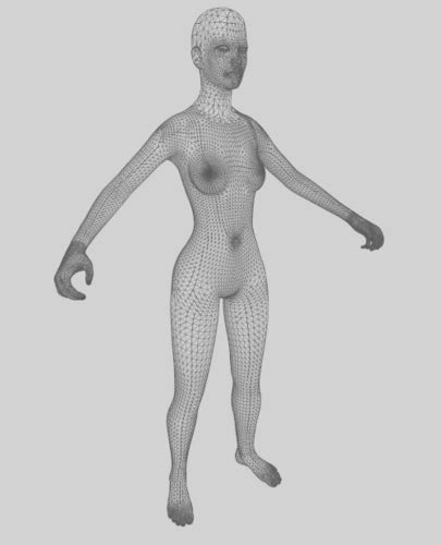 Fusion Girl 175 Whole Body And Face Morphs Modders Resource Modders