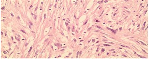 Researchopenworld Com