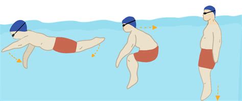 Swimming Coaching Guide 2020stroke Development Freestyle