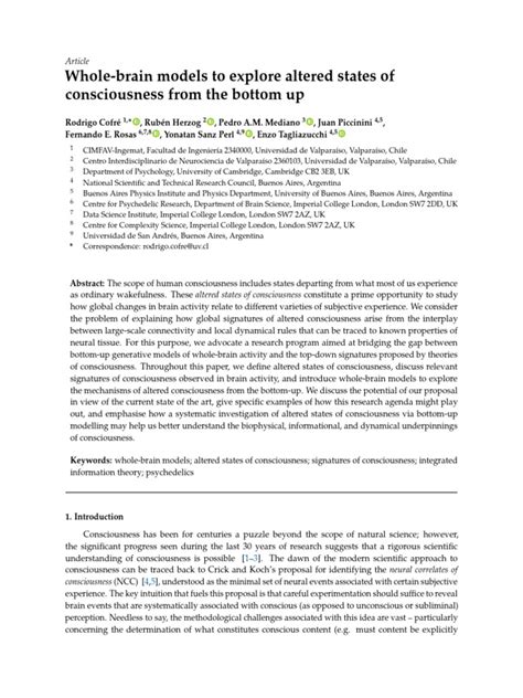 Whole Brain Models To Explore Altered States Of Consciousness From The