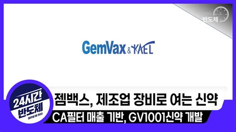 젬백스 기업분석 제조업을 바탕으로 한 신약 개발의 꿈 Youtube