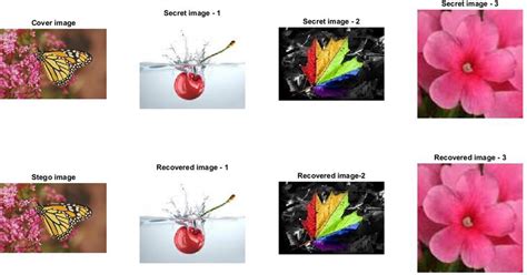 Lsb Technique Embedding And Extraction Of Multiple Color Images In A Download Scientific