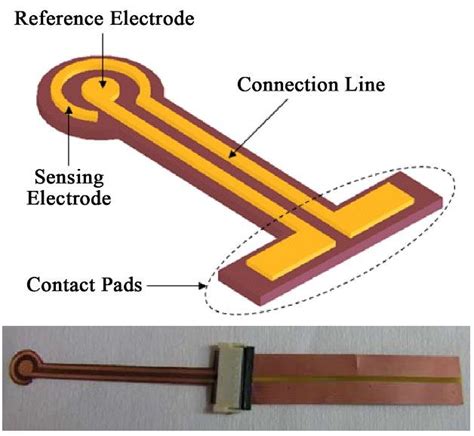The Schematic And Optical Photograph Of The Fabricated Flexible Ecg Download Scientific Diagram