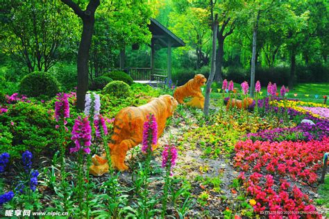 闵行体育公园摄影图 自然风景 自然景观 摄影图库 昵图网nipic
