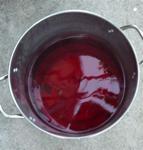 Wool Tribulations Of Hand Spinning And Herbal Dyeing Making Coreopsis Dye From The Plant To