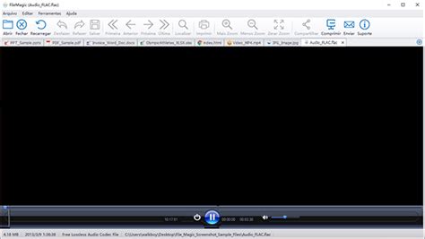 File Magic Software De Visualização De Arquivos Desenvolvido Por Um