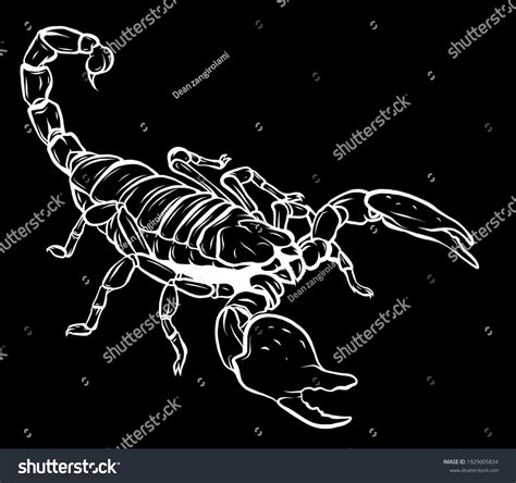 Silhouette Illustration Scorpion Arachnid Insect Vector 库存矢量图（免版税