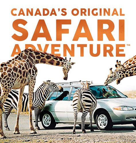 African Lion Safari Canadas Original Safari Adventure