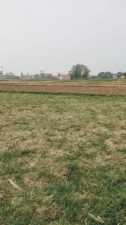 Shorts Video मलवा मलवा Aashish Yadav का मगही हिट गाना Malwa