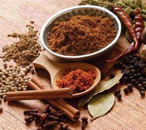 Chicken Masala At Best Price In Indore Madhya Pradesh Masala House