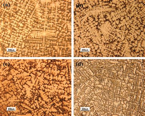 Optical Microstructure Of New Designed As Cast Superalloys A Alloy Download Scientific