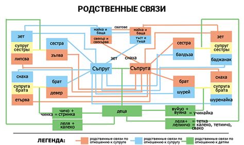 Родственные связи в Болгарии Названия родственников Блог о Болгарии