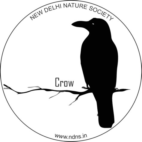 Crow Sticker New Delhi Nature Society