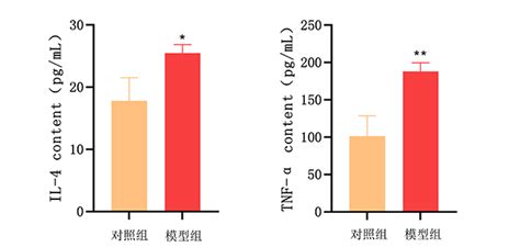 鼠源胸腺基质淋巴细胞生成素TSLP诱导特应性皮炎模型 中洪博元商城 疾病动物模型 实验动物 动物实验物资