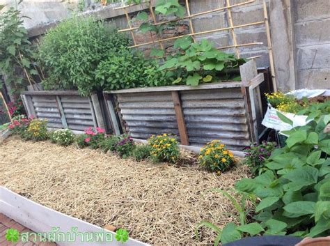 คัดมาให้ดู 100 ไอเดียแปลงปลูกผักสวนครัว สวยๆ แบบประหยัดพื้นที่ แบบเกษตรพอเพียง การออกแบบสวน
