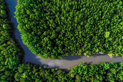 How To Avoid Greenwashing When Choosing Esg Investments Greenmoney