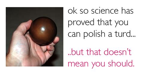Niki Wallace Design You Cant Polish A Turd